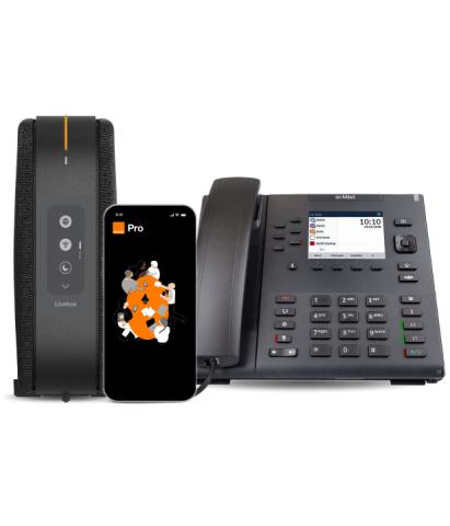 Connect pro : téléphonie fixe, box, internet, mobile